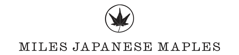 Miles-Japanese-Maples-Logo – Miles Japanese Maples